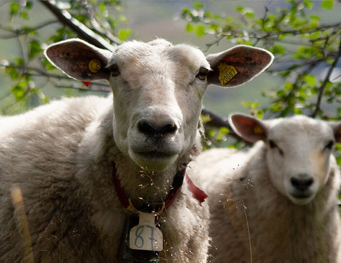 How It's Made – Red Hat Factory